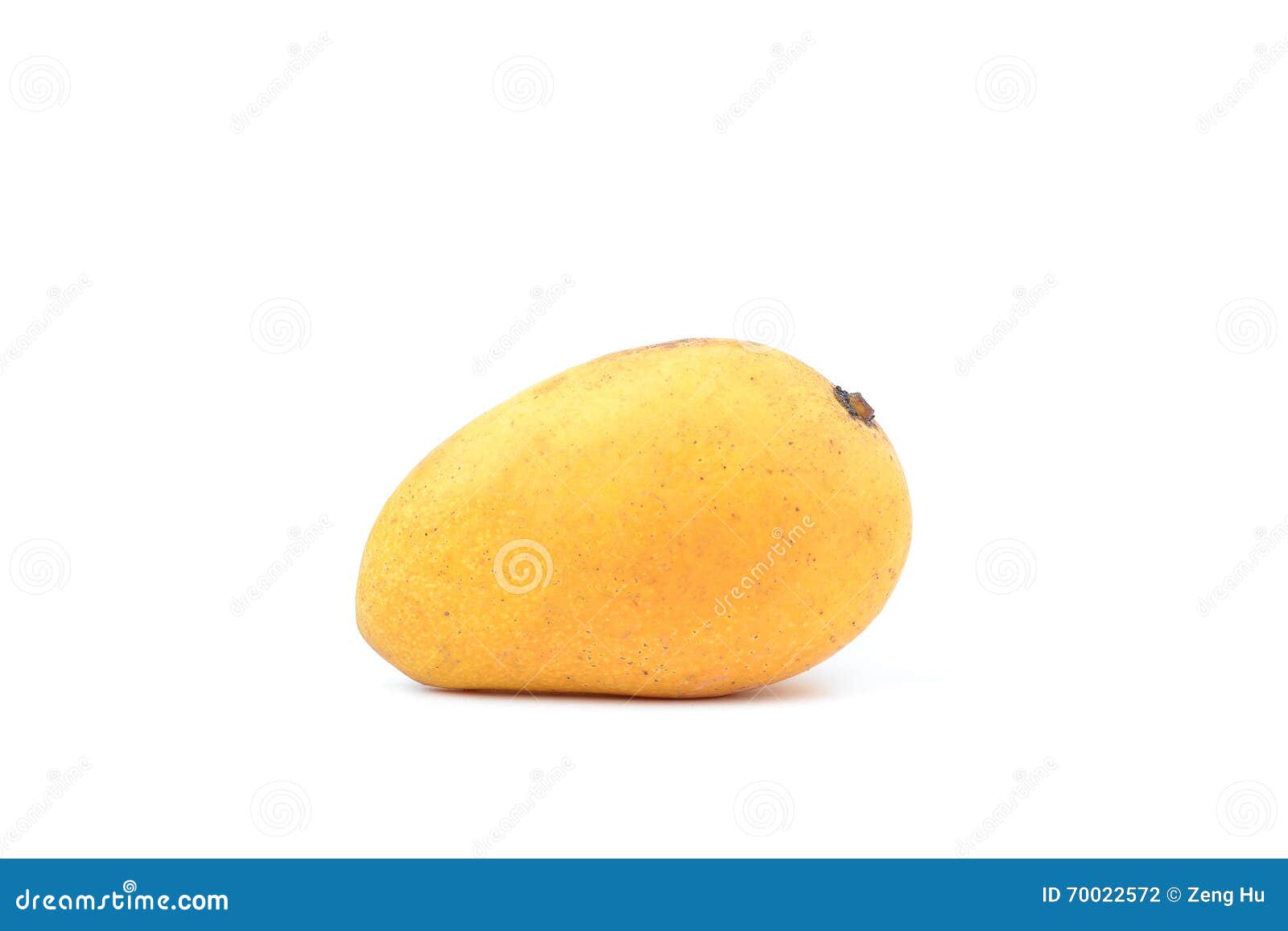 ONE MANGO stock photo. Image of white, fruit, fresh, golden - 70022572