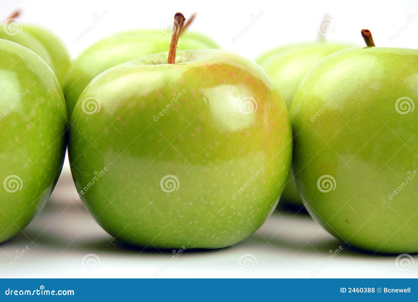 One among Many stock photo. Image of compare, healthy - 2460388