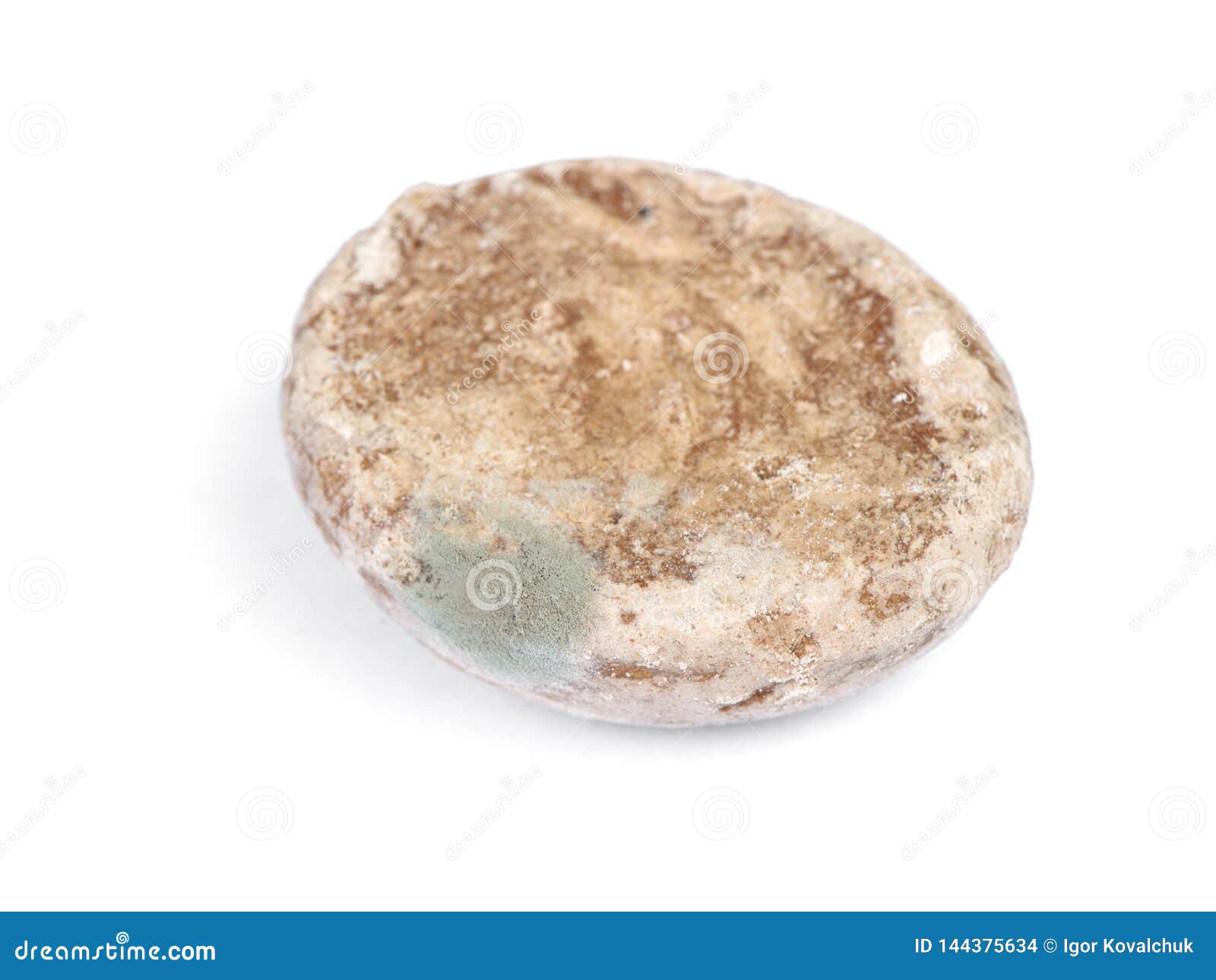 One Moldy Gingerbread Cookie Stock Photo - Image of bakery, moldy ...