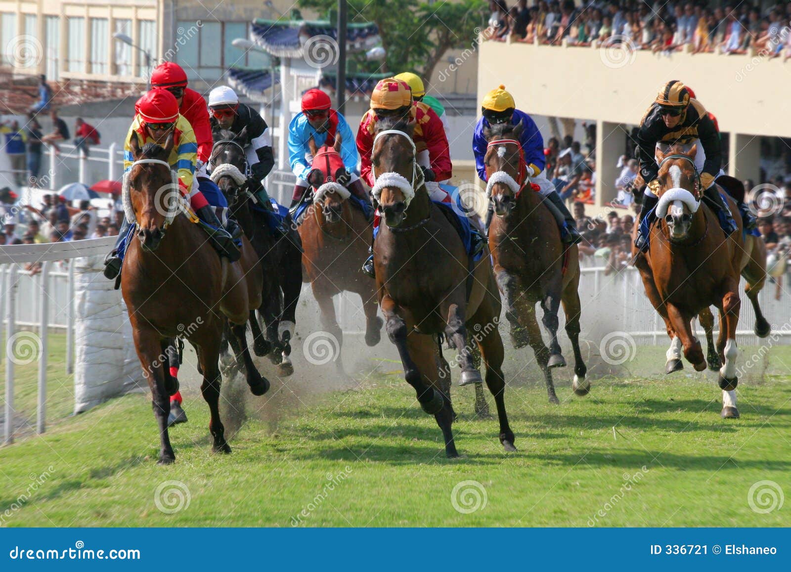 One more lap editorial photo. Image of action, betting - 336721