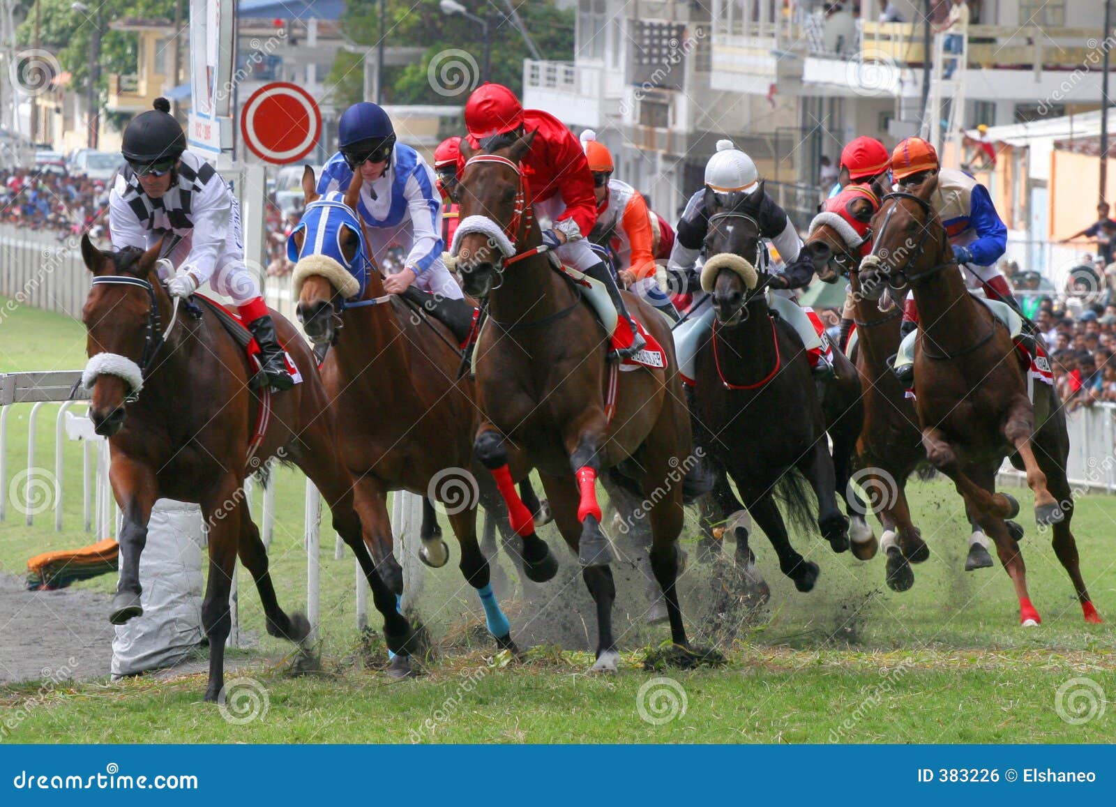 One more lap to go stock photo. Image of grass, betting - 383226