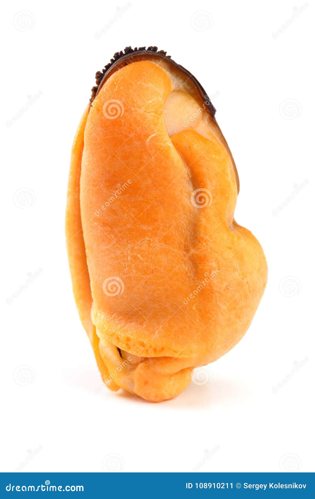 One Mussel without Shell Isolated on White Background Stock Image ...