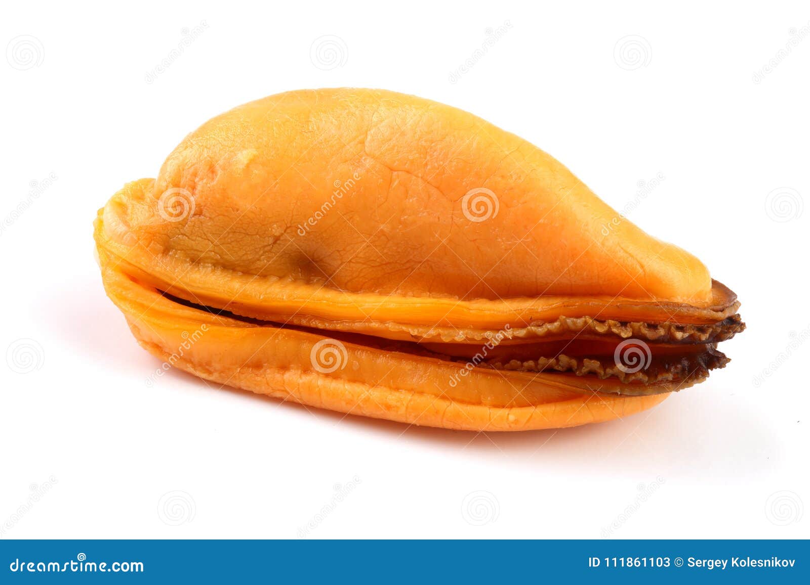 One Mussel without Shell Isolated on White Background Stock Image ...