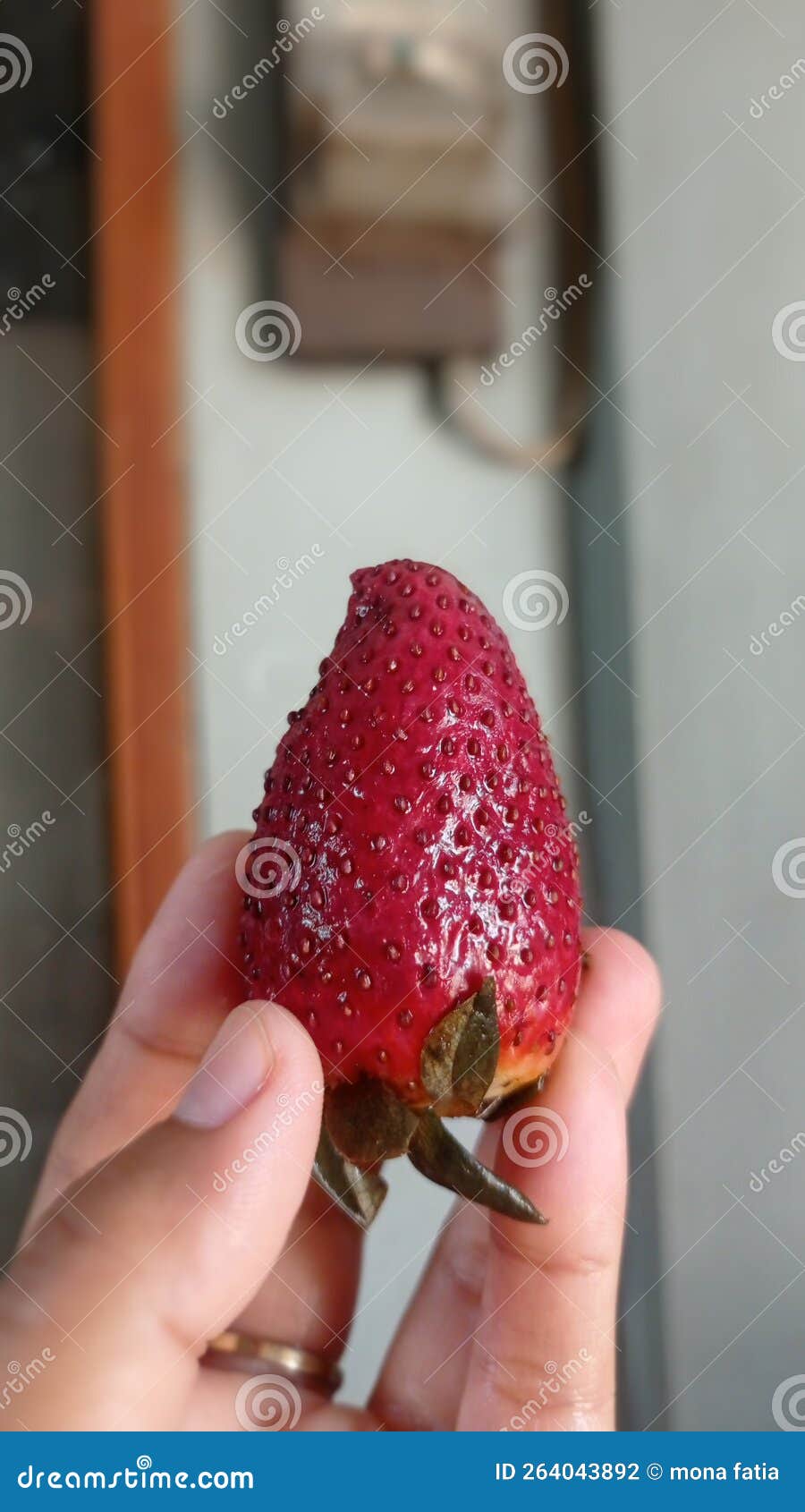 One of my favourite friuts stock photo. Image of produce - 264043892