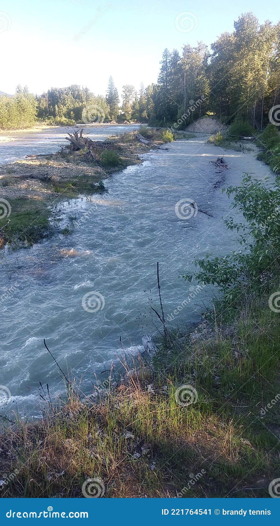 One with nature stock image. Image of water, tree, winter - 221764541