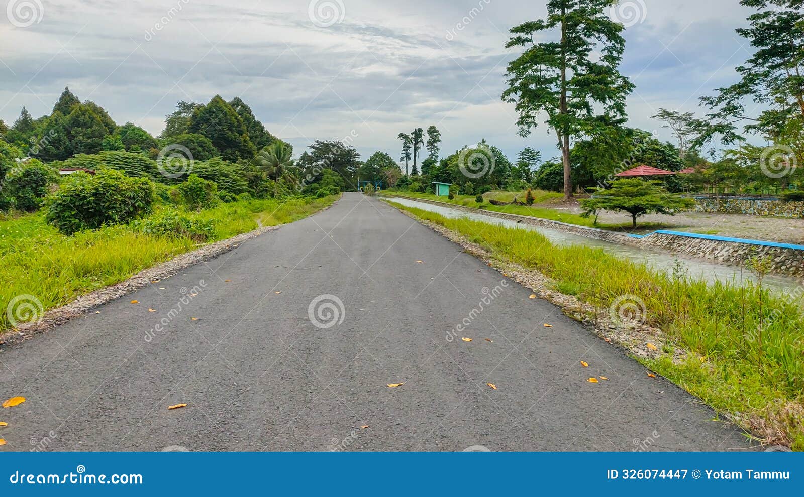 One of the Newly Paved Roads Stock Image - Image of paved, tree: 326074447