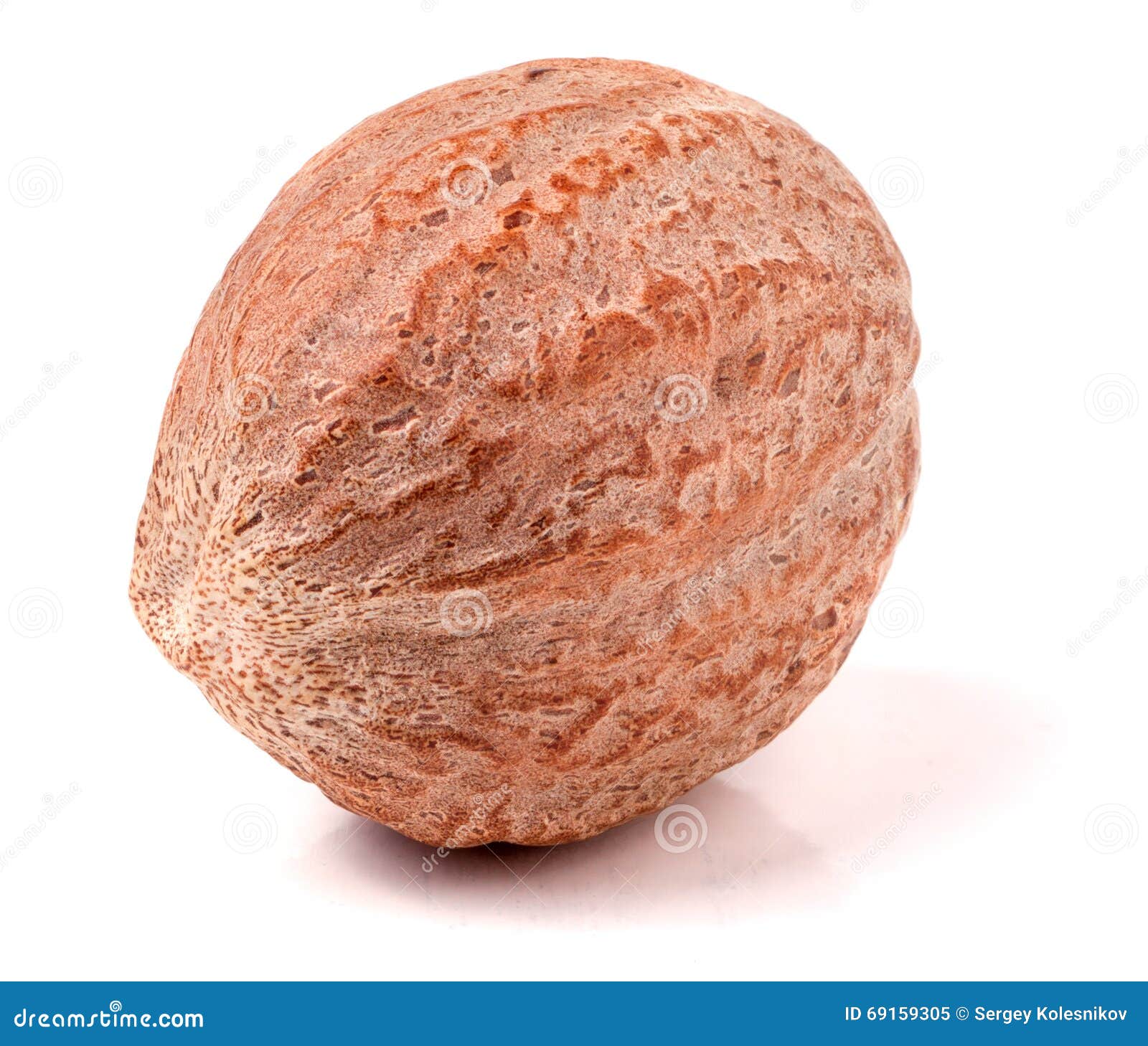 One Nutmeg Whole Isolated on White Background Stock Image - Image of ...