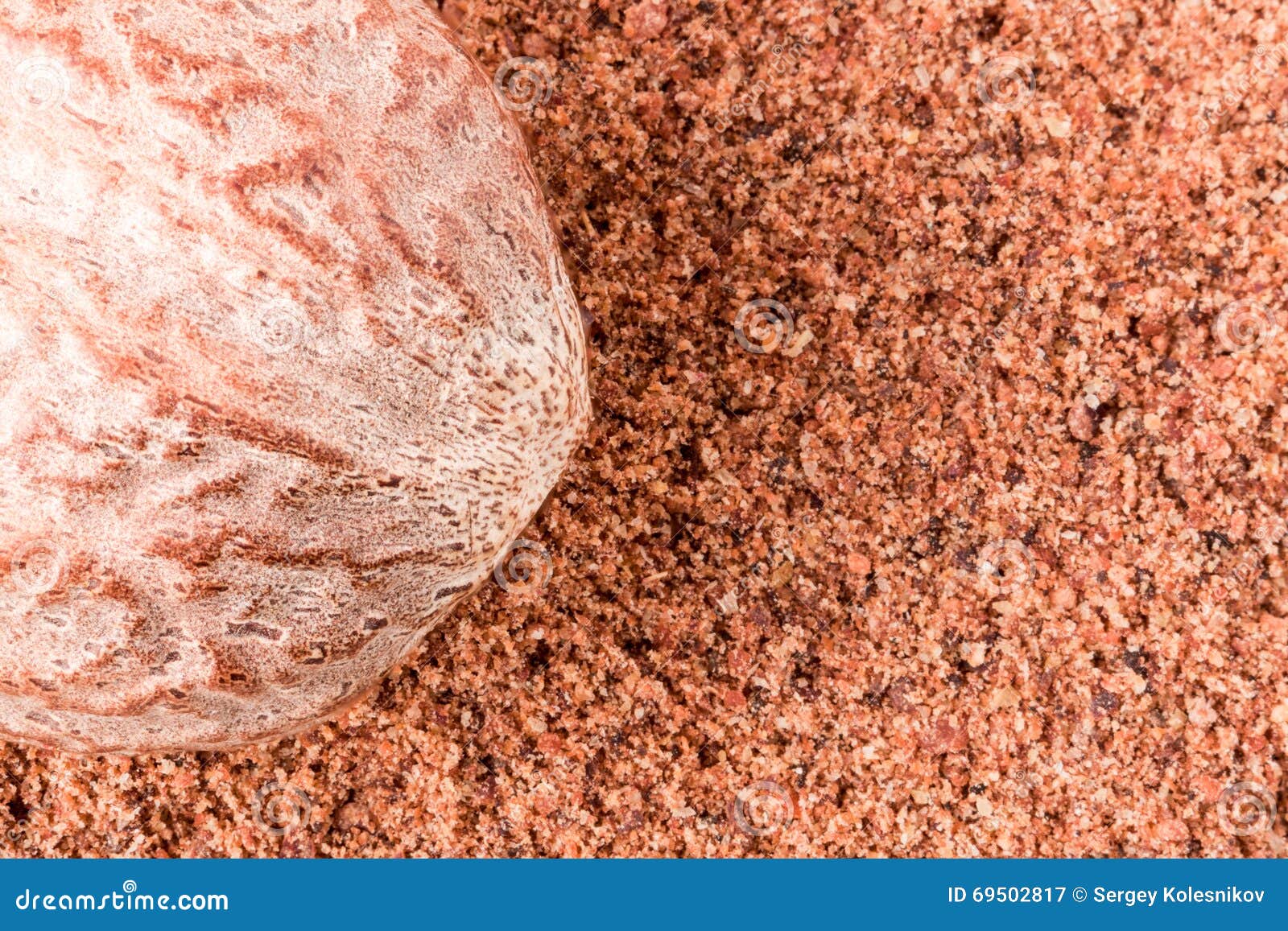 One Nutmeg Whole And Powder Isolated On White Background Stock Image ...