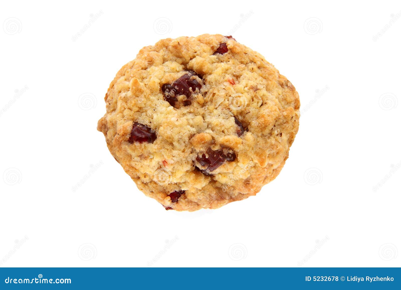 One oaten cookie stock photo. Image of white, cereal, baking - 5232678
