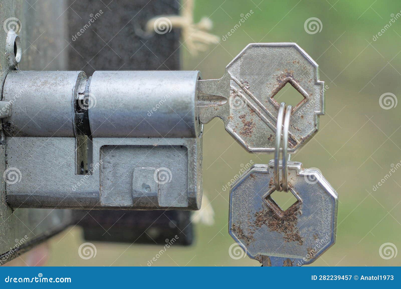One Old Gray Rusty Metal Key in the Core Stock Image - Image of grey ...