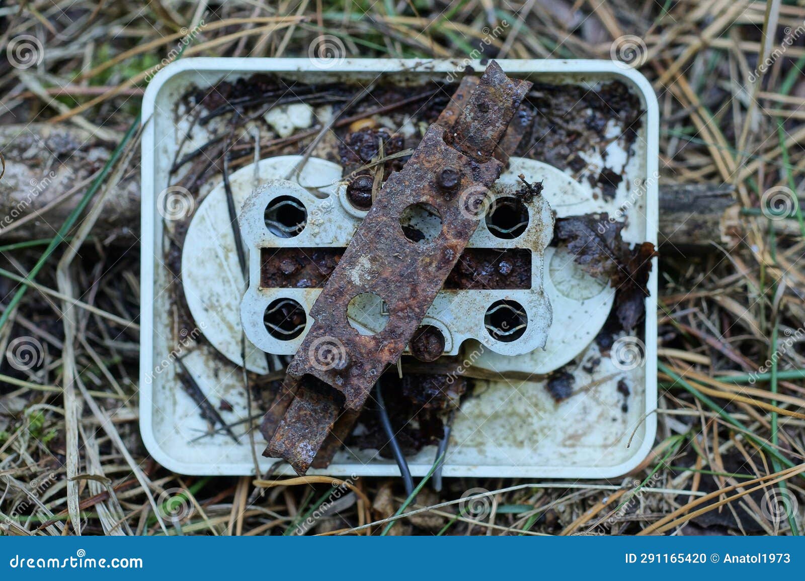 One Old Rectangular White Dirty Plastic Socket Lies on the Grass Stock ...