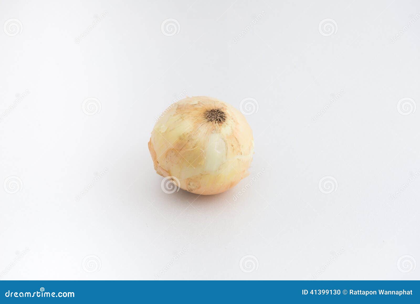 One onion isolated stock photo. Image of peel, spice - 41399130
