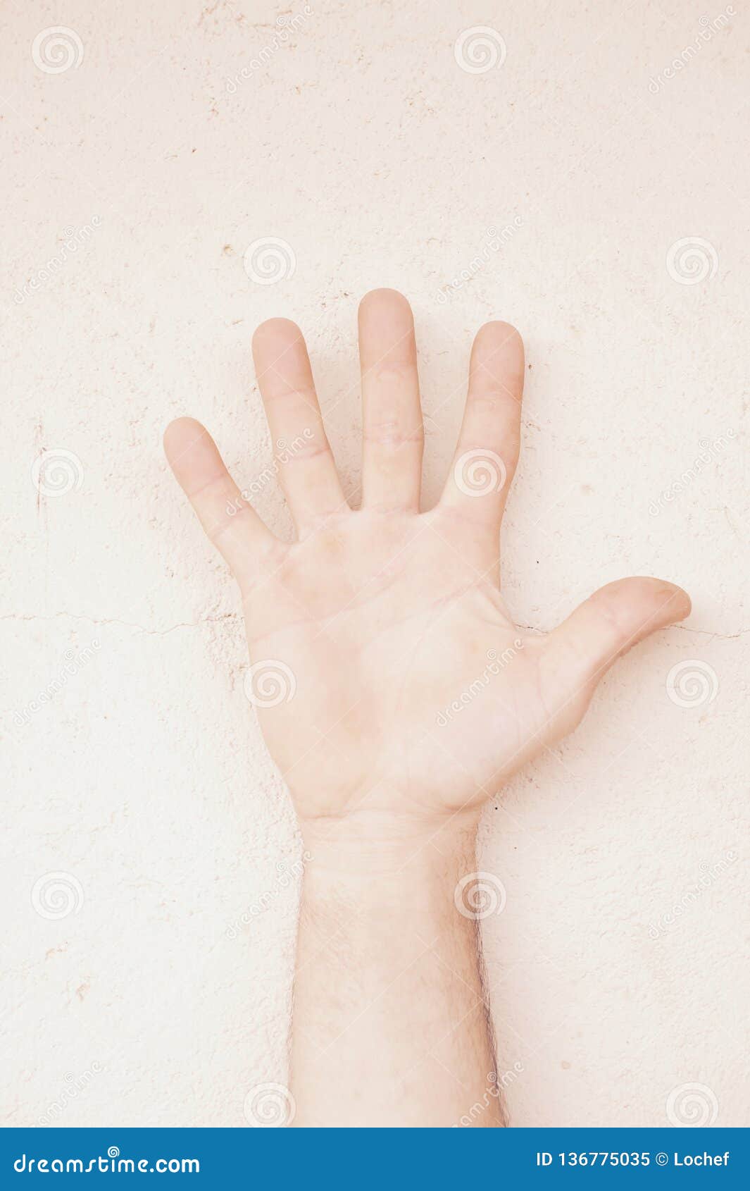 One Open Hand on Background Stock Image - Image of body, fingers: 136775035