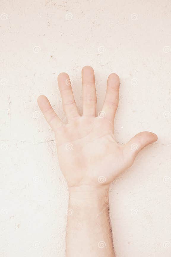 One Open Hand on Background Stock Image - Image of body, fingers: 136775035