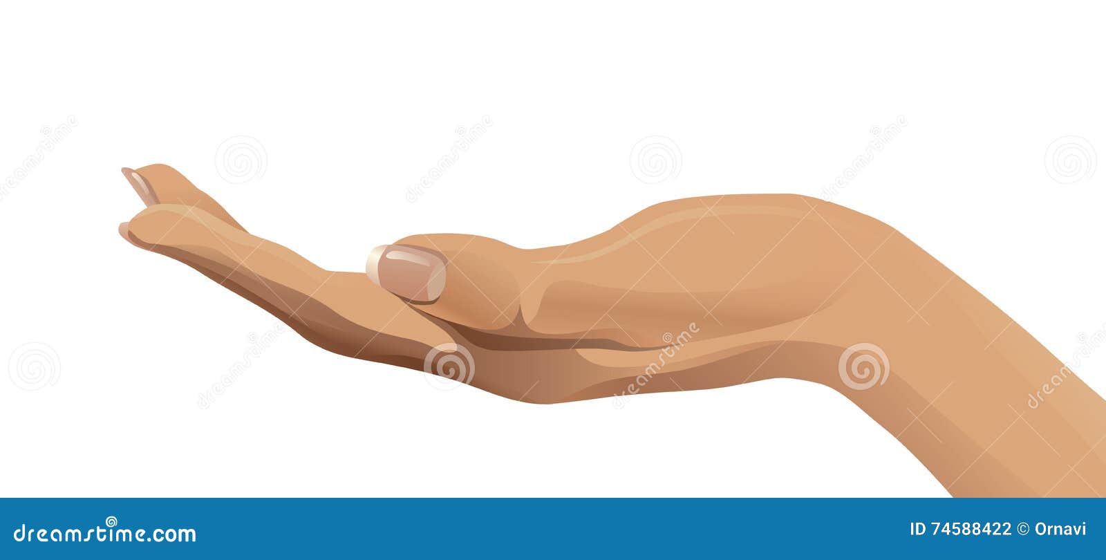 One open human hand stock vector. Illustration of leave - 74588422