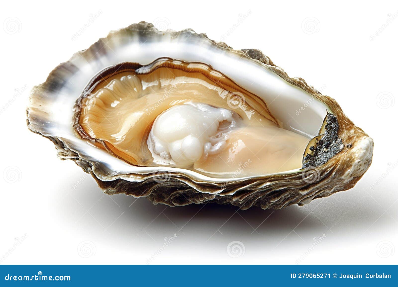 One Open, Live Oyster, with Pearls, Isolated on White Background. Ai ...