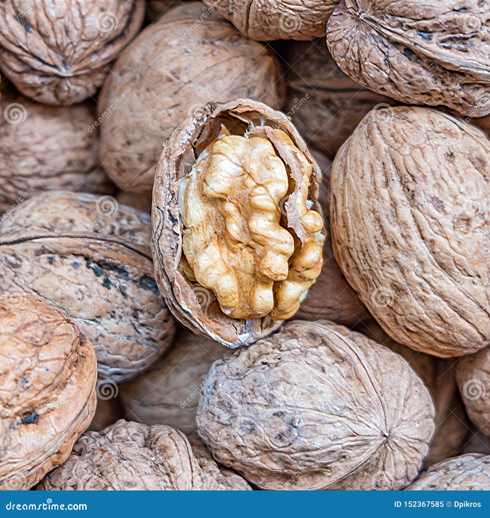 One Open Walnut on Nutshells, Tasty Background Stock Image - Image of ...