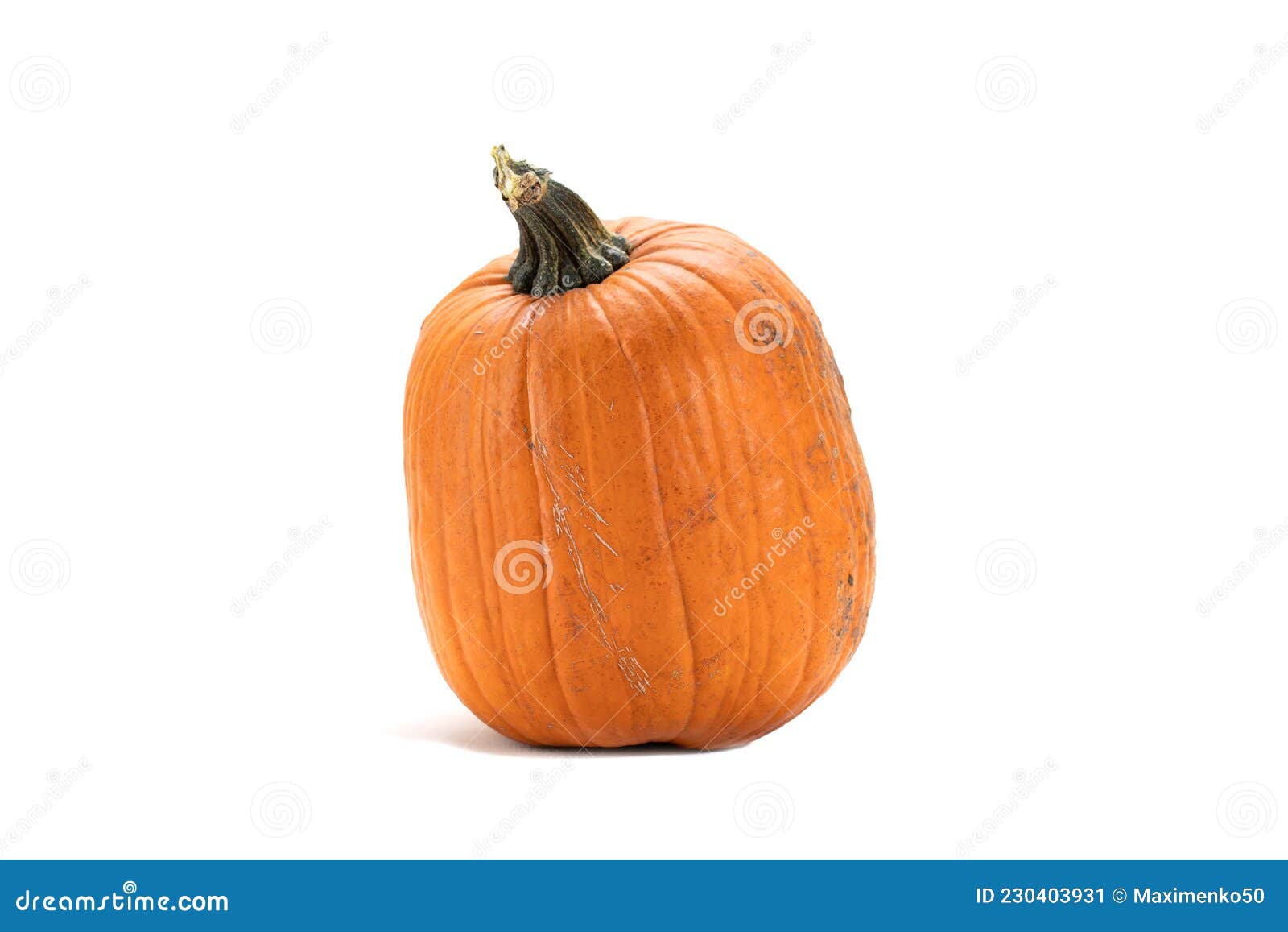 One Orange Color Pumpkin with Stem Isolated on White Stock Image ...