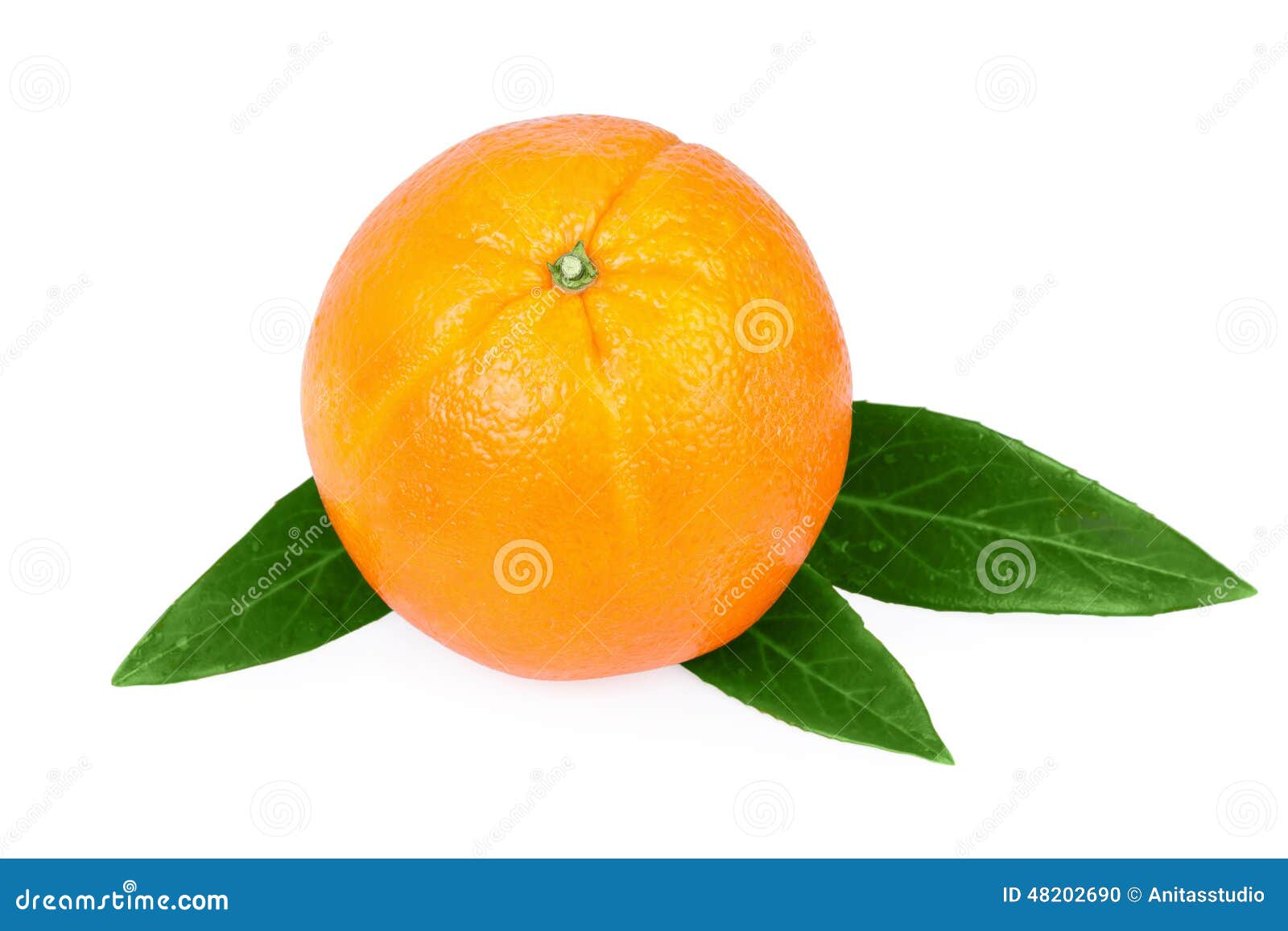 One Orange Fruit Isolated on White Stock Photo - Image of marmalade ...