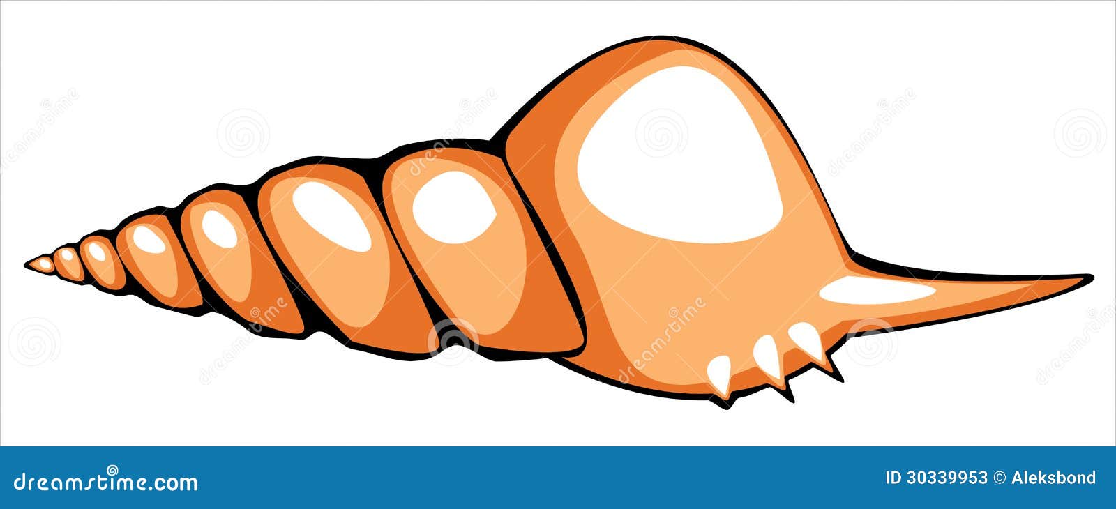 One Orange Shell Isolated on White Stock Vector - Illustration of color ...