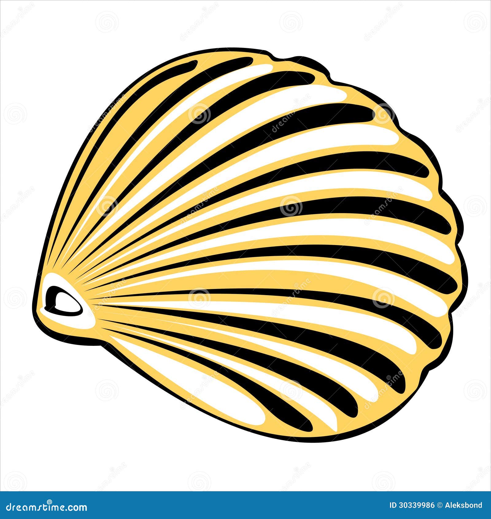 One Orange Shell Isolated on White Stock Vector - Illustration of ...