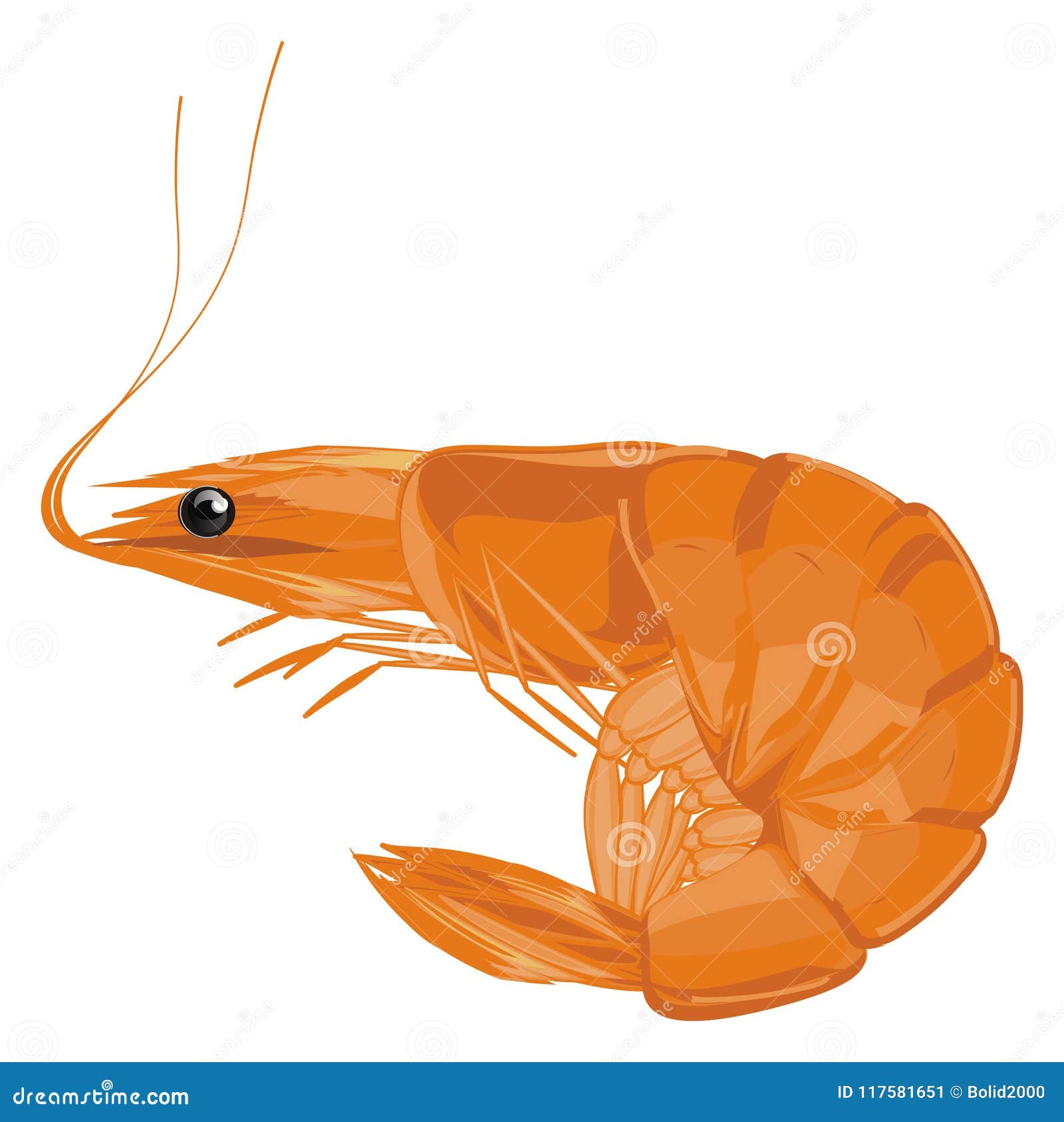Orange Shrimp Pimp Logo Design Cartoon Vector | CartoonDealer.com ...