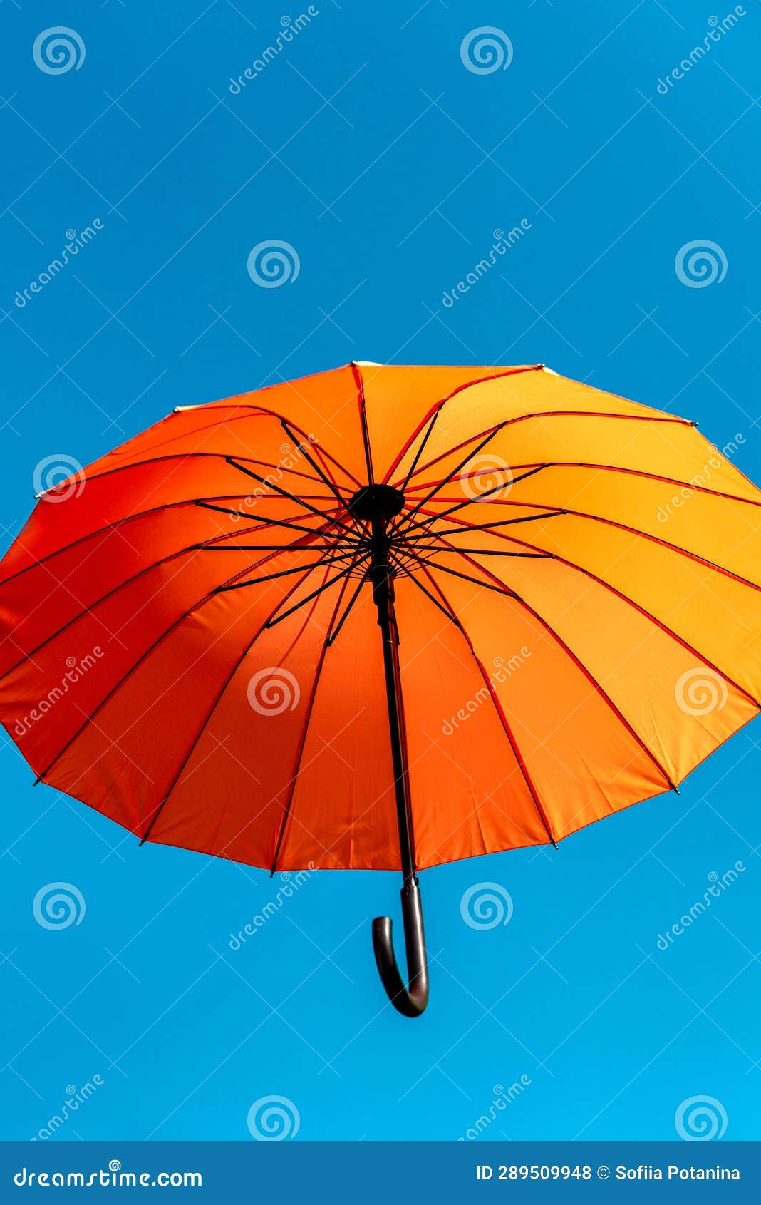 One Orange Umbrella Flying in the Wind Stock Photo - Image of umbrella ...