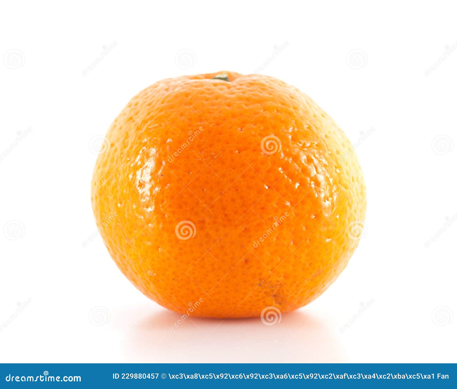 One Orange on White Background Stock Image - Image of tangerines ...