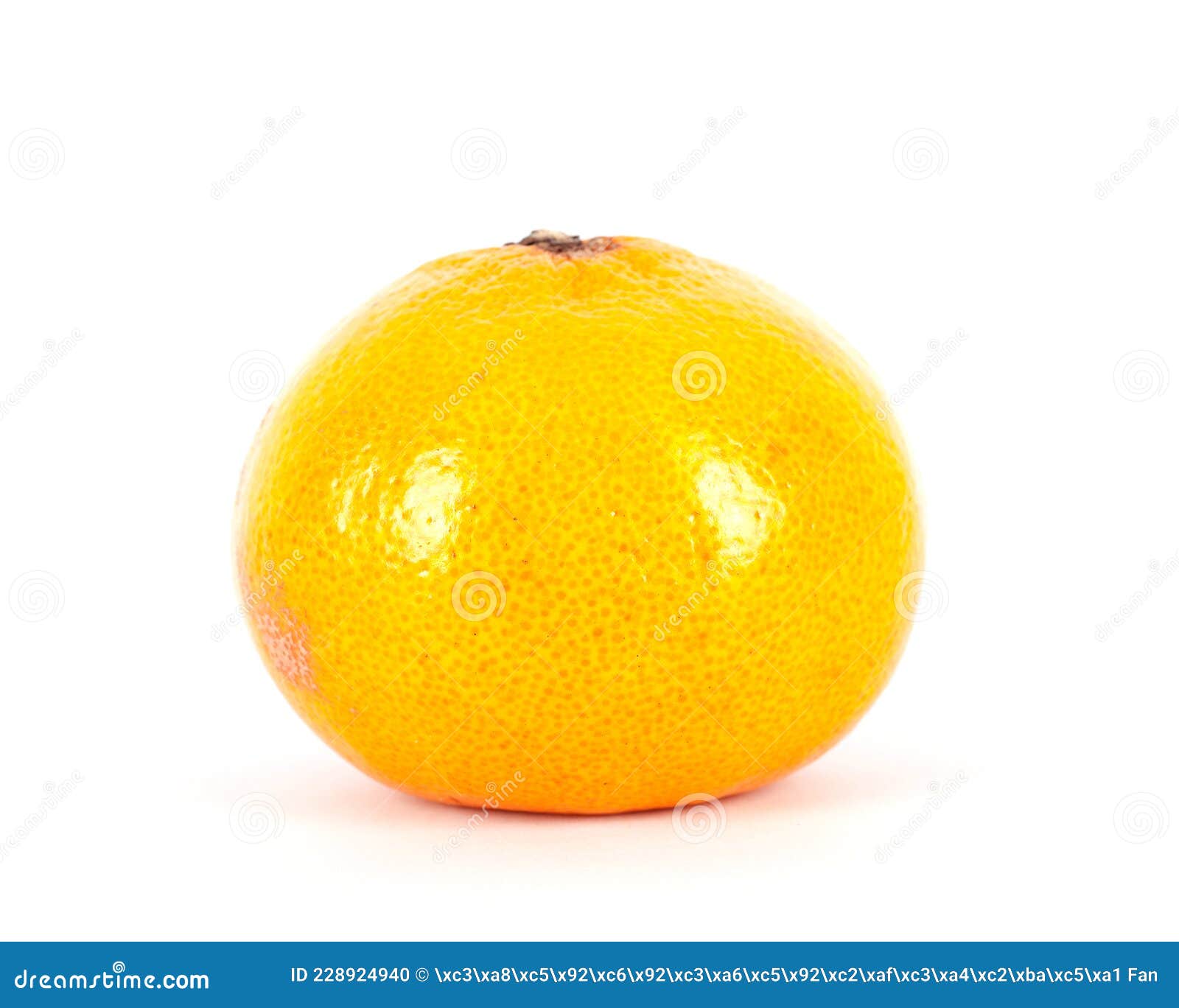 One Orange on White Background Stock Photo - Image of harvesting, ripe ...
