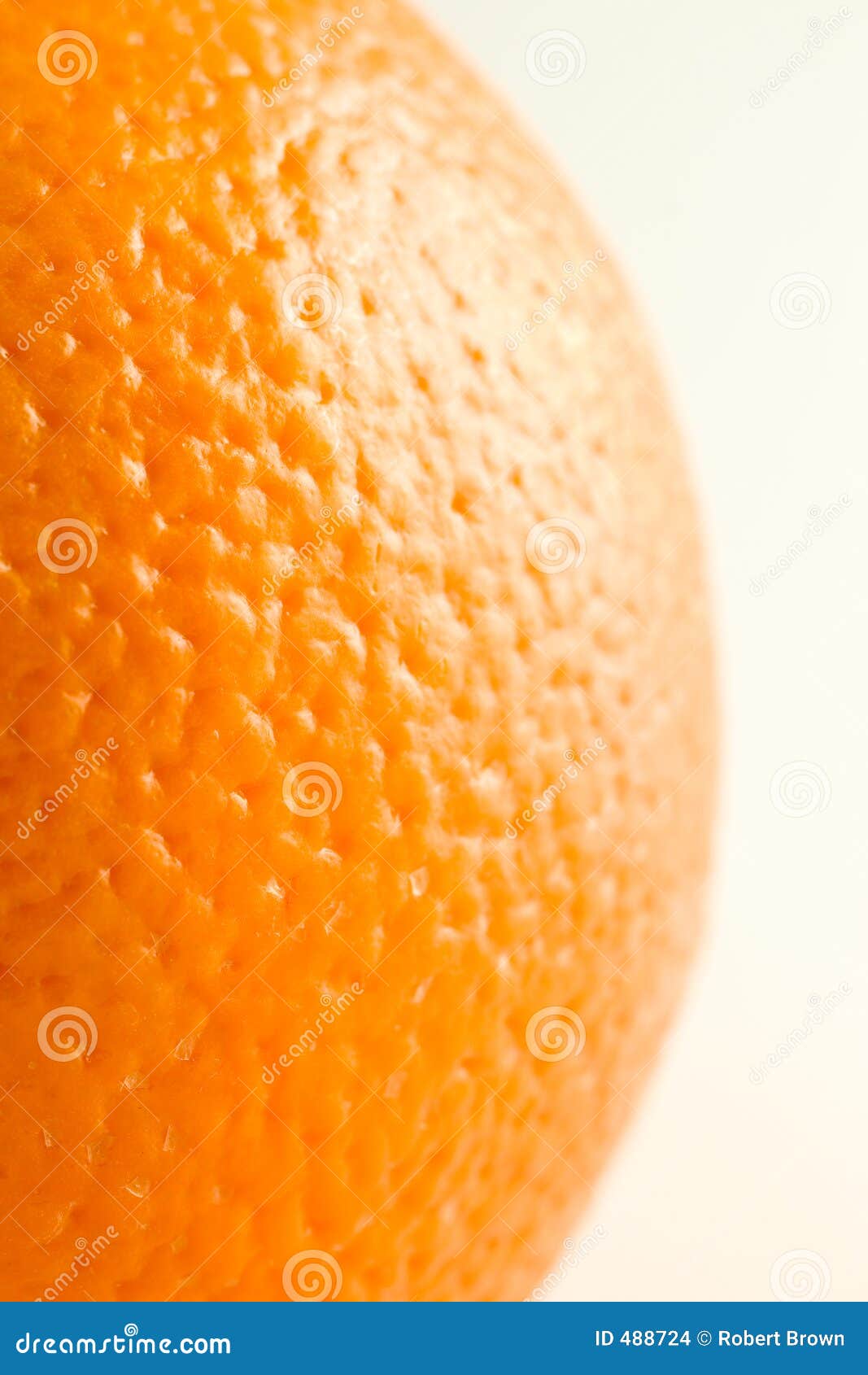 One Ordinary Orange stock photo. Image of tasty, yummy - 488724