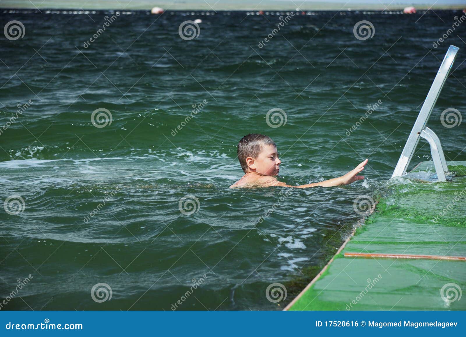 One paddle to ladder stock photo. Image of green, swimming - 17520616