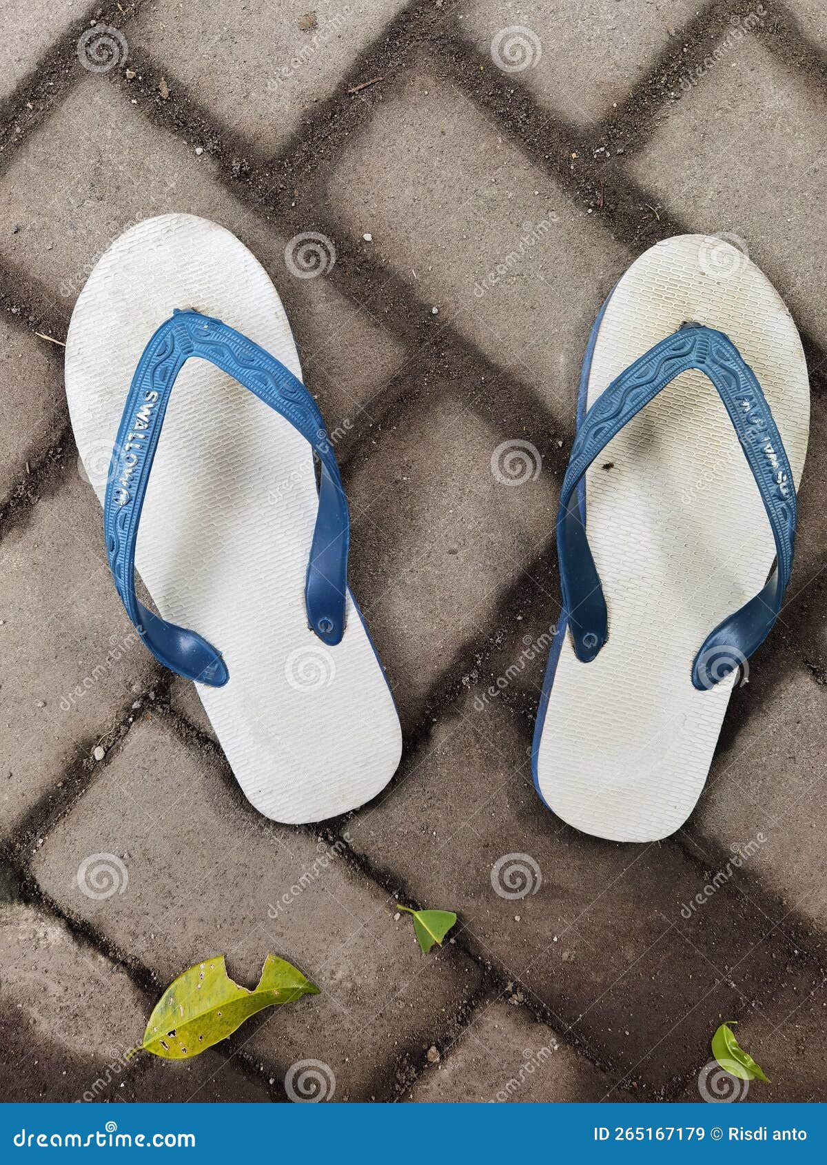 Pairslippers Stock Photos - Free & Royalty-Free Stock Photos from ...