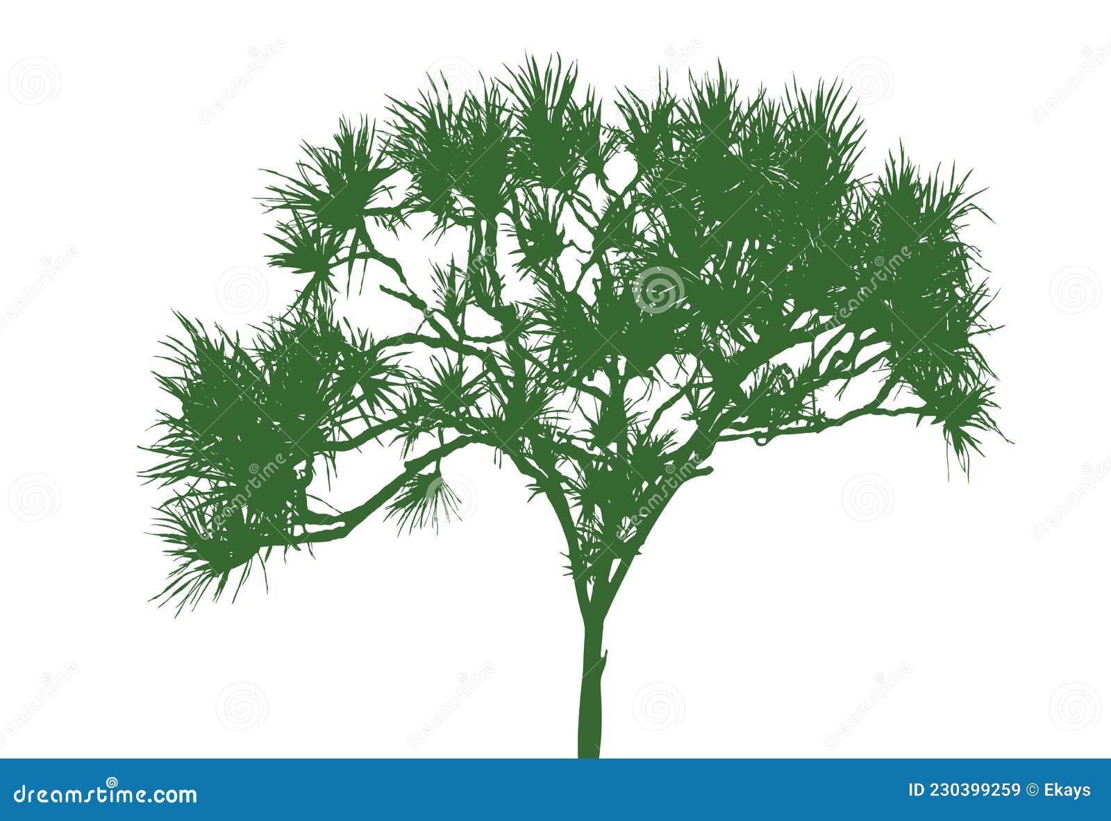One pandanus tree stock vector. Illustration of green - 230399259