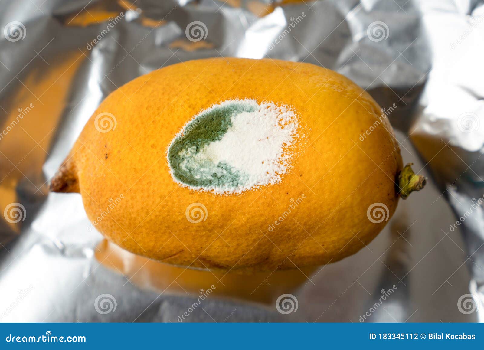 One Partly Rotten Lemon on Aluminium Foil Stock Photo - Image of rotten ...