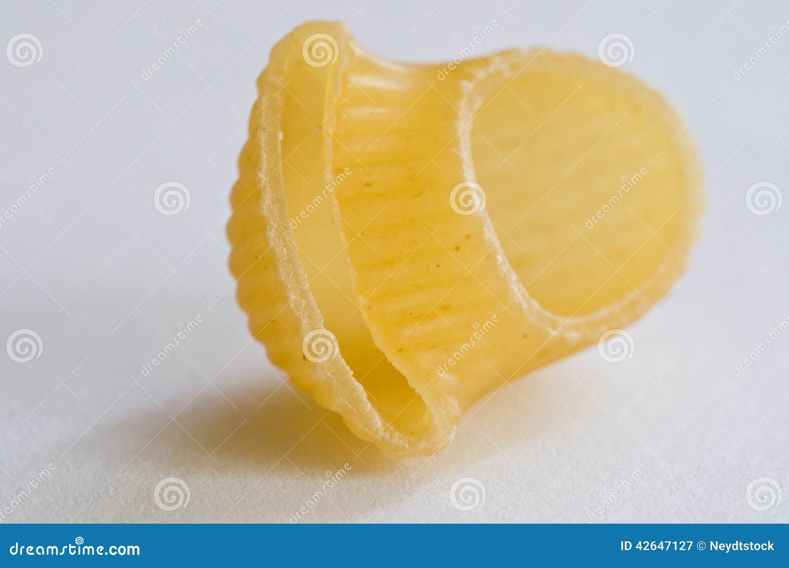 One pasta isolated stock image. Image of noodle, fusilli - 42647127