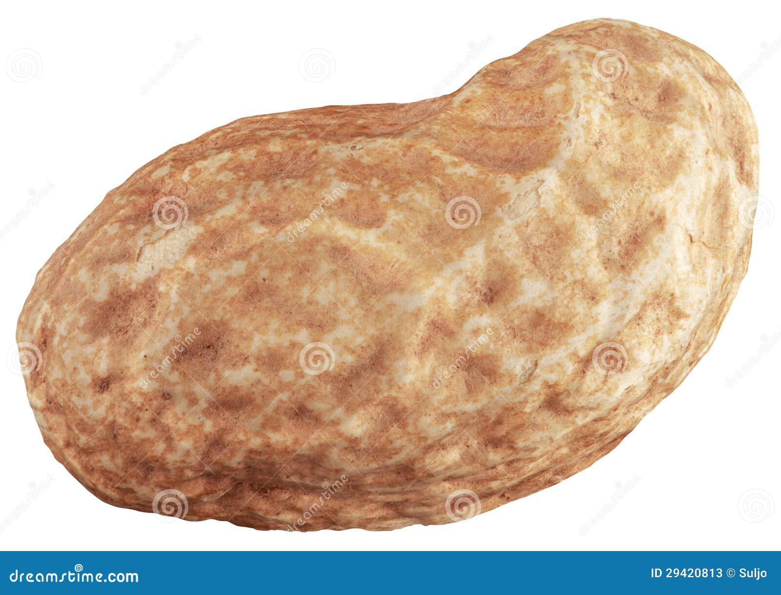 One Peanut Cutout stock image. Image of isolated, pygmy - 29420813
