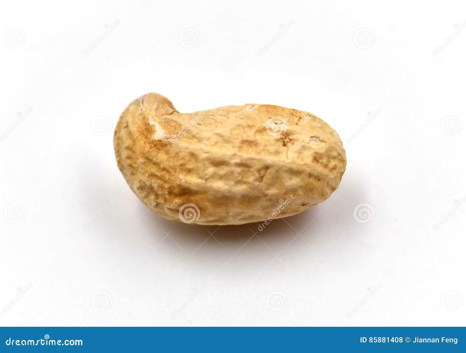 One Peanut Isolated stock photo. Image of legumes, snack - 85881408
