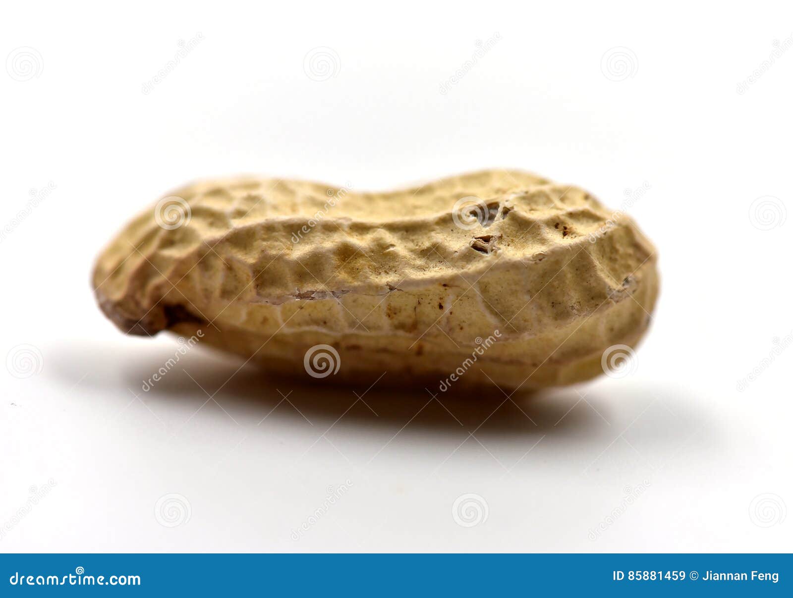 One Peanut Isolated stock image. Image of single, closeup - 85881459