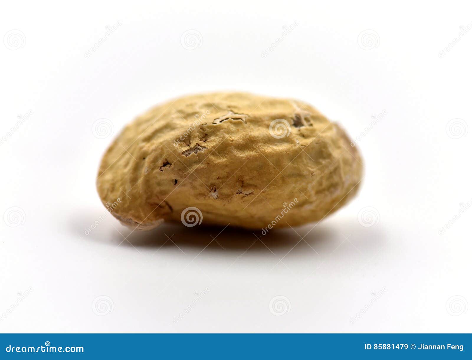 One Peanut Isolated stock image. Image of white, tasty - 85881479