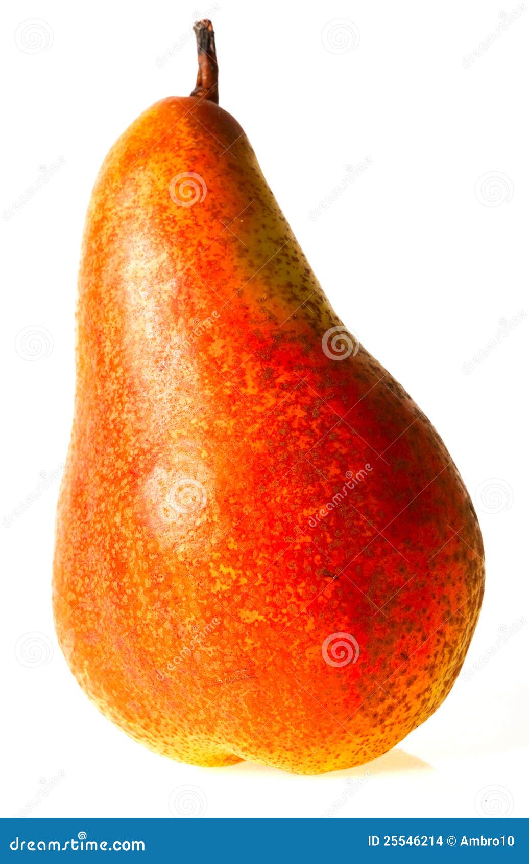 One pear stock photo. Image of background, eating, food - 25546214