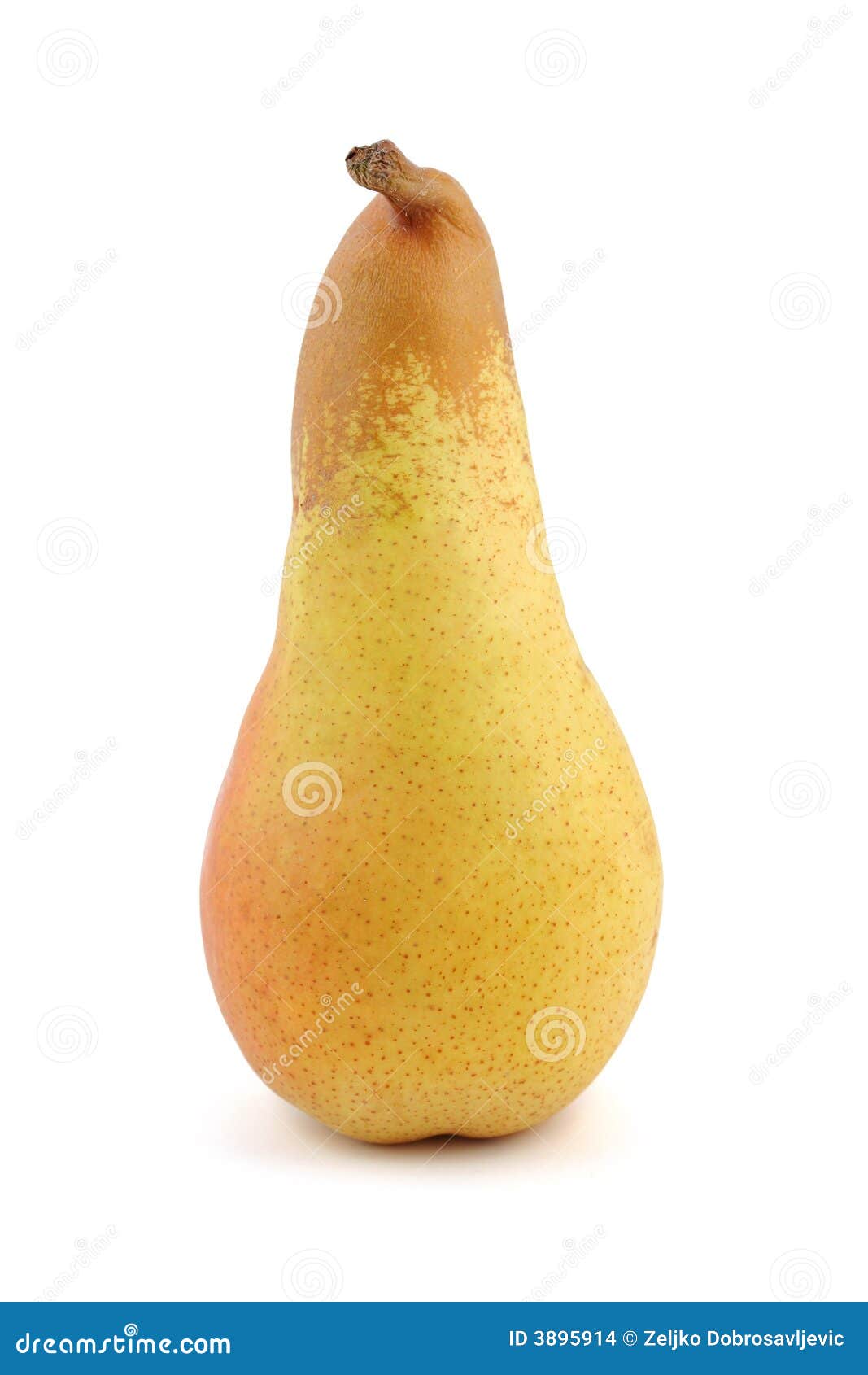 One pear stock photo. Image of eating, freshness, food - 3895914