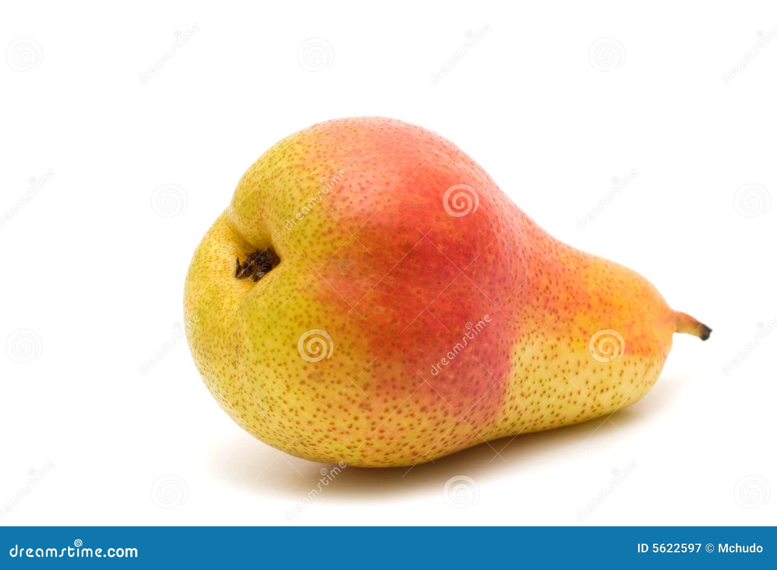 One pear stock image. Image of yellow, pear, natural, vegetarian - 5622597