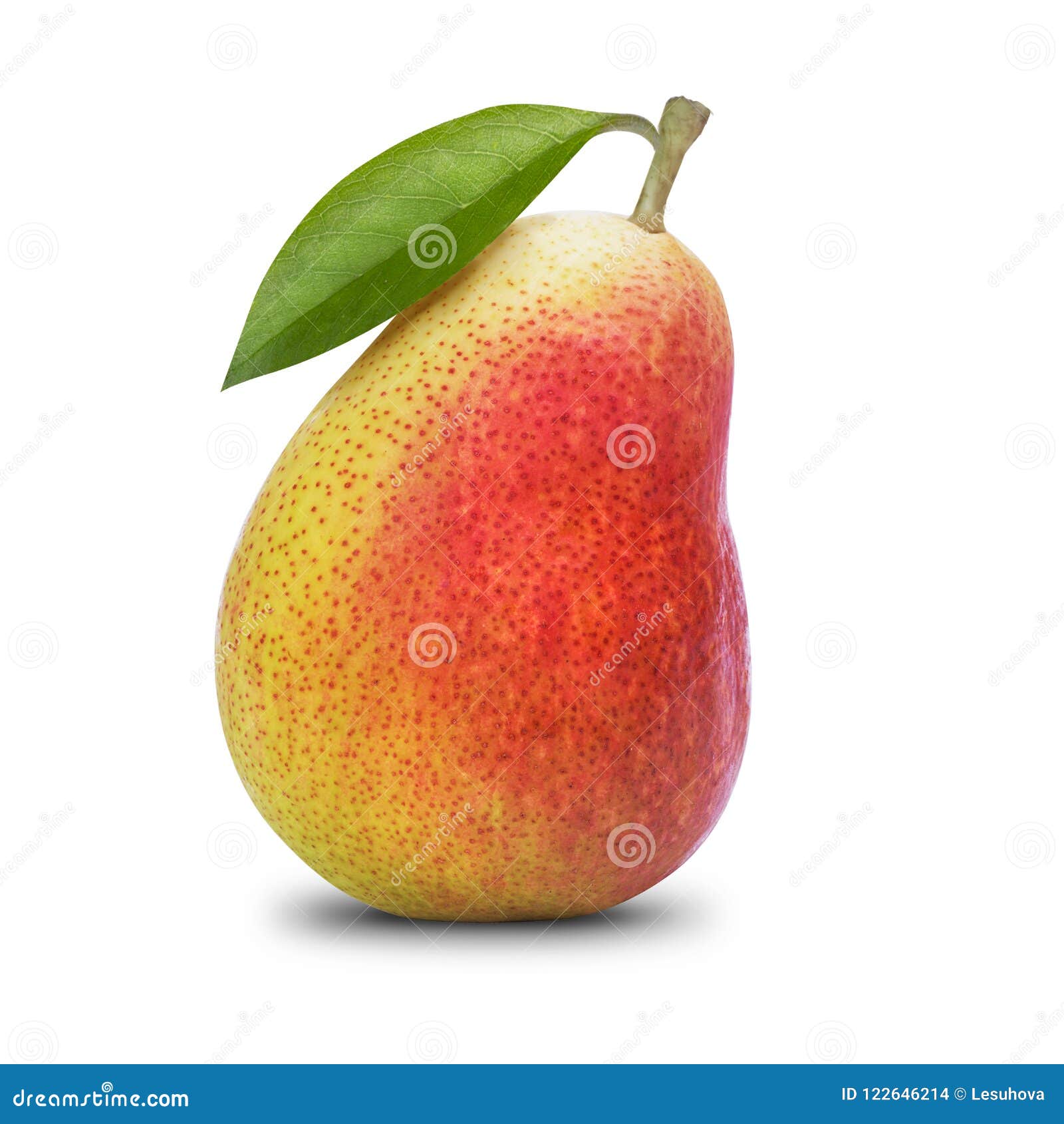 One pear stock photo. Image of vitamin, closeup, background - 122646214