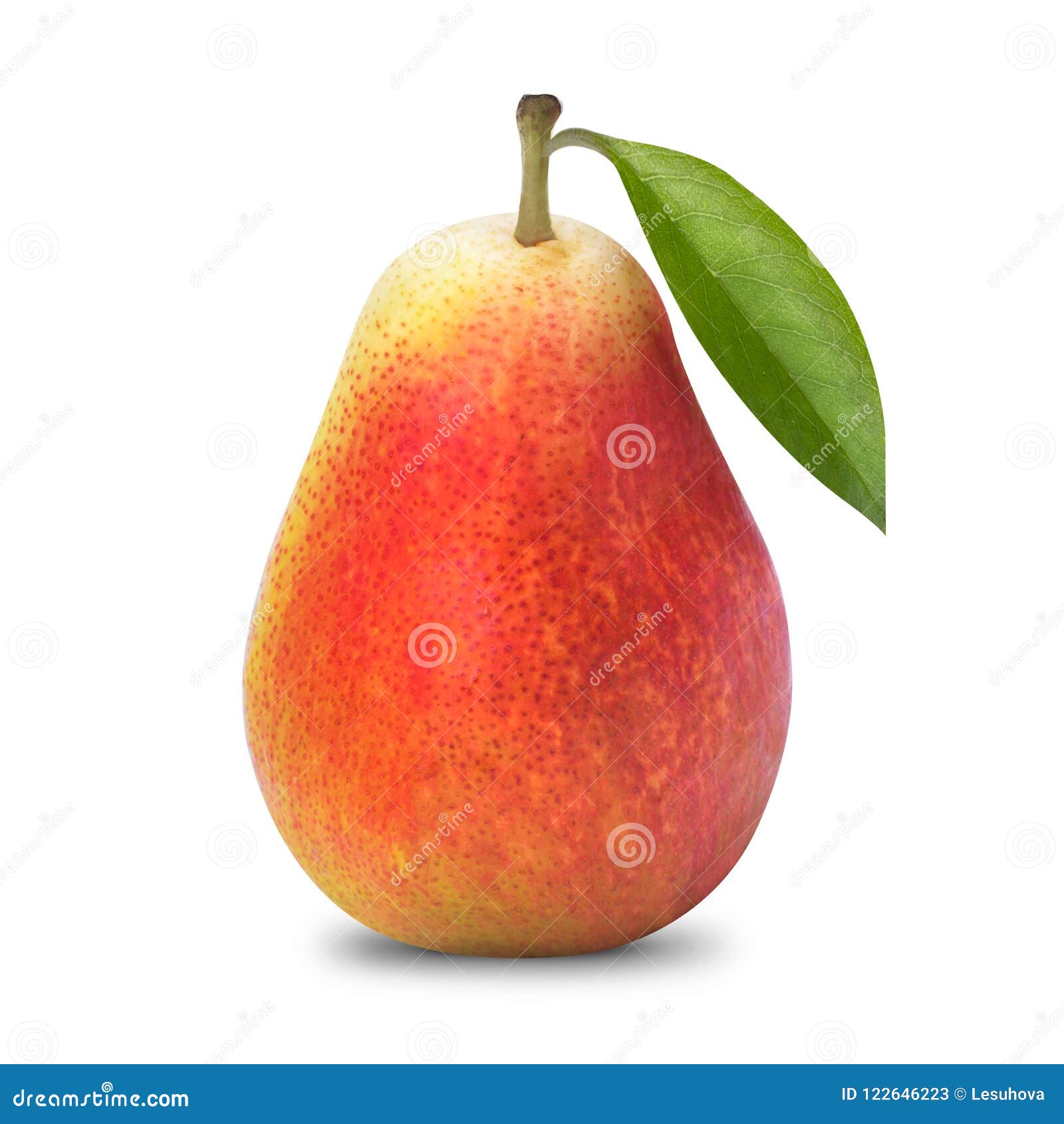 One pear stock image. Image of cutout, leaf, vitamin - 122646223