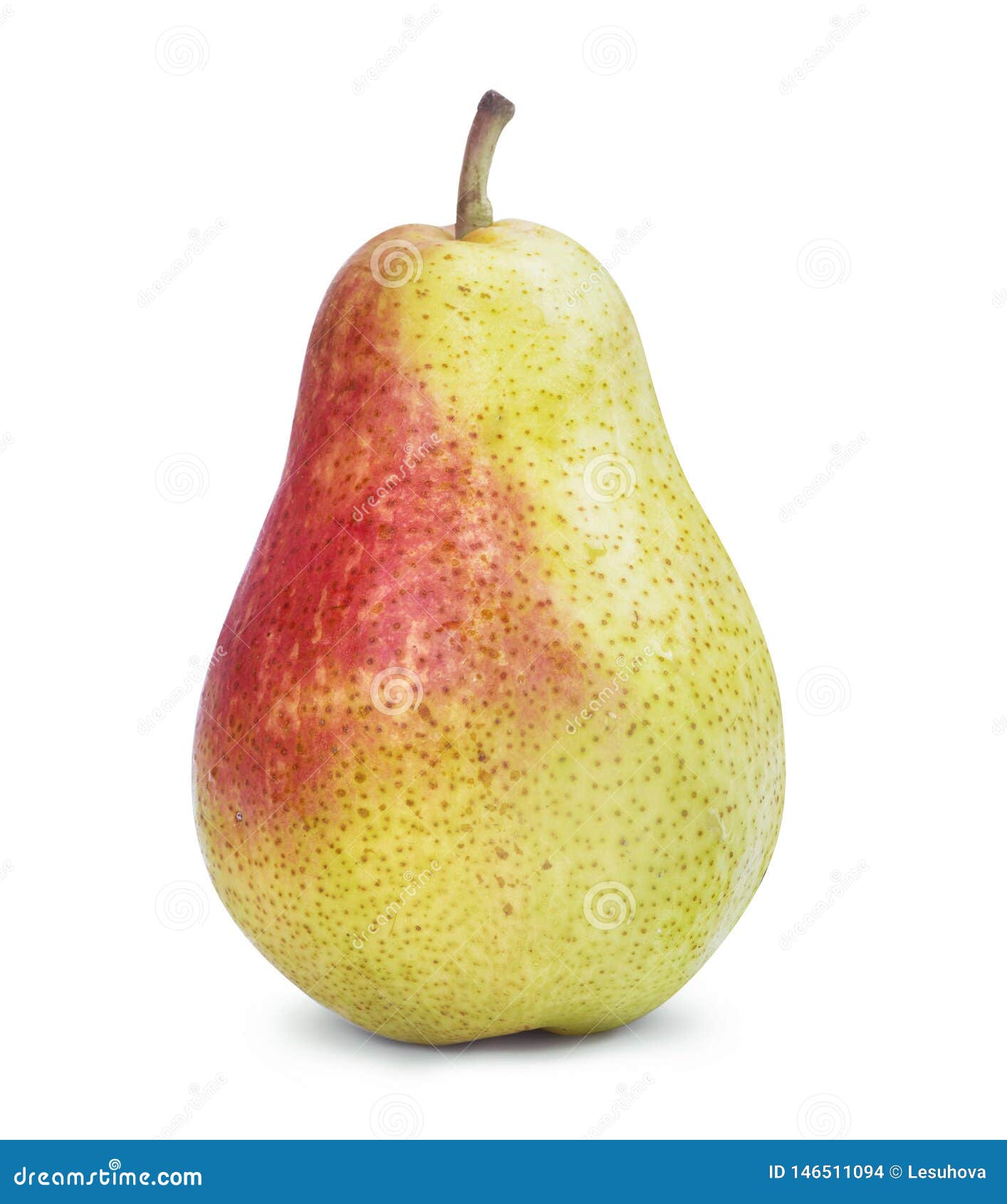 One pear stock photo. Image of leaf, juicy, diet, front - 146511094