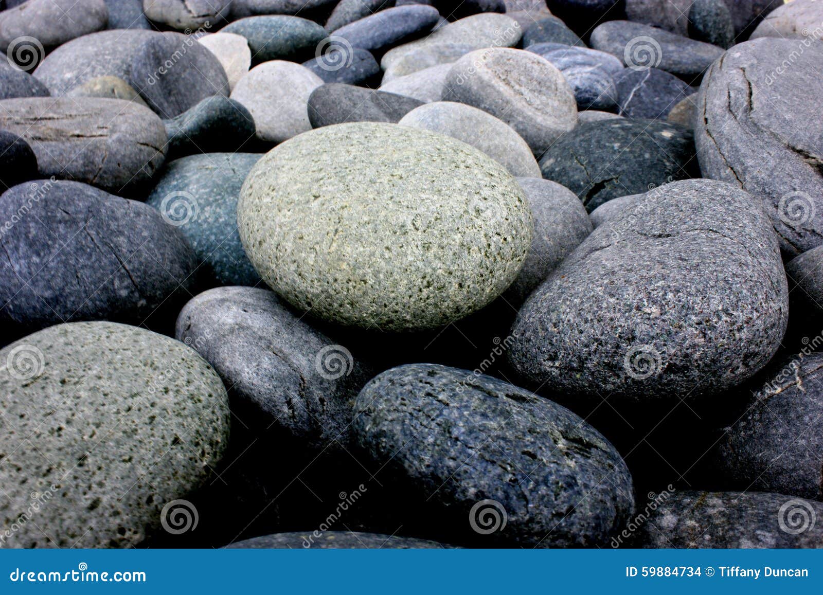One Pebble among Many stock photo. Image of gray, assortment - 59884734