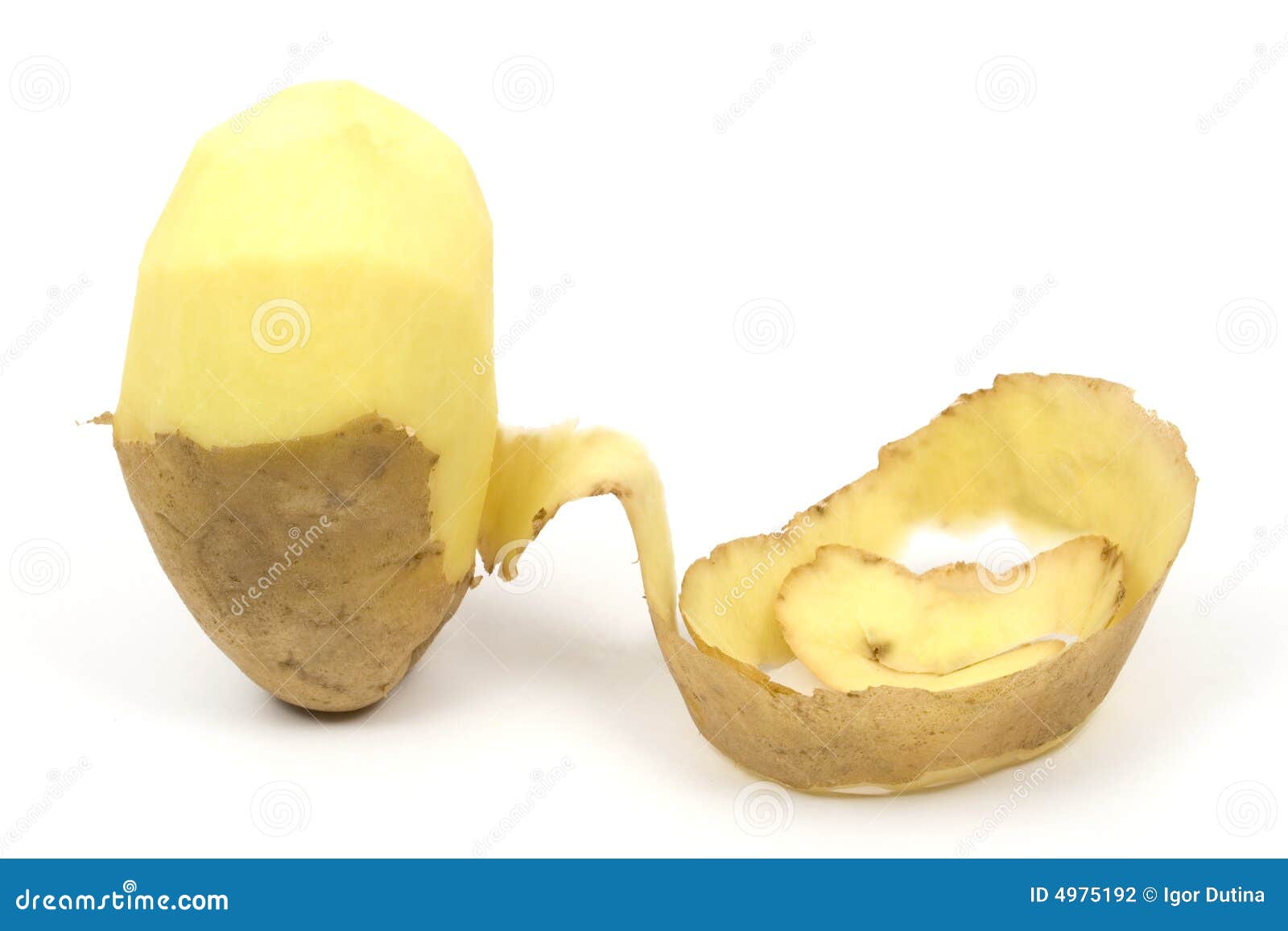 One peeled potato stock photo. Image of food, isolated - 4975192