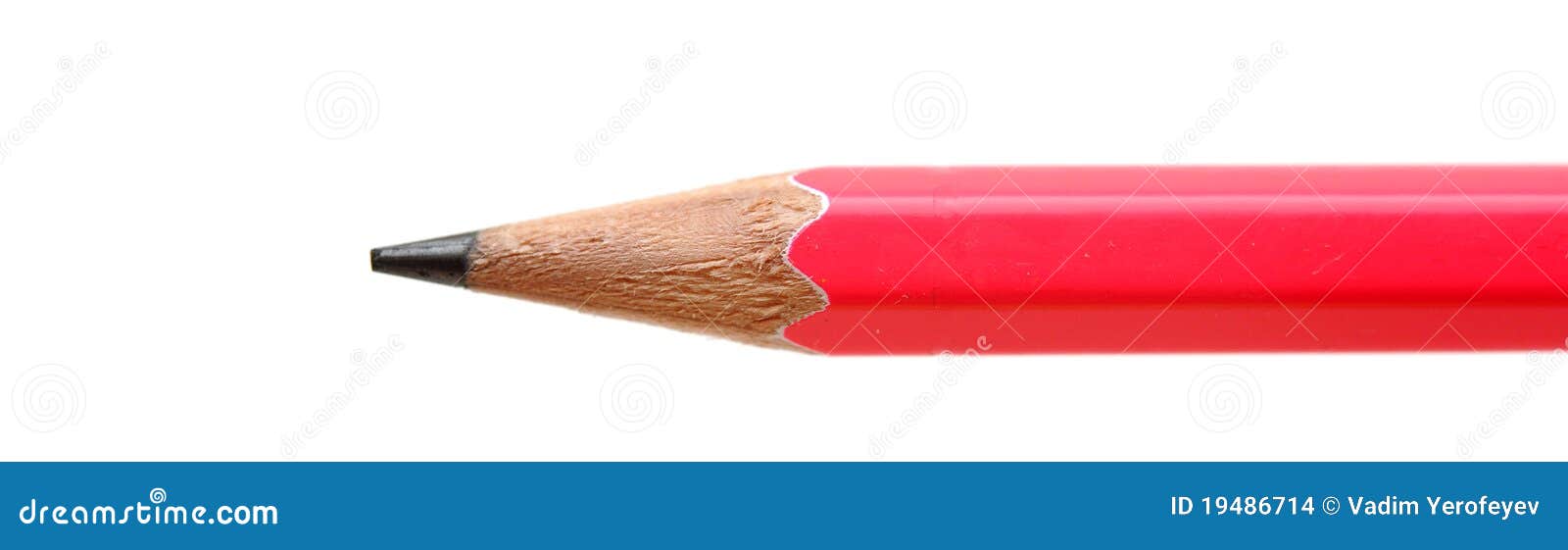 One pencil stock photo. Image of isolation, supplies - 19486714
