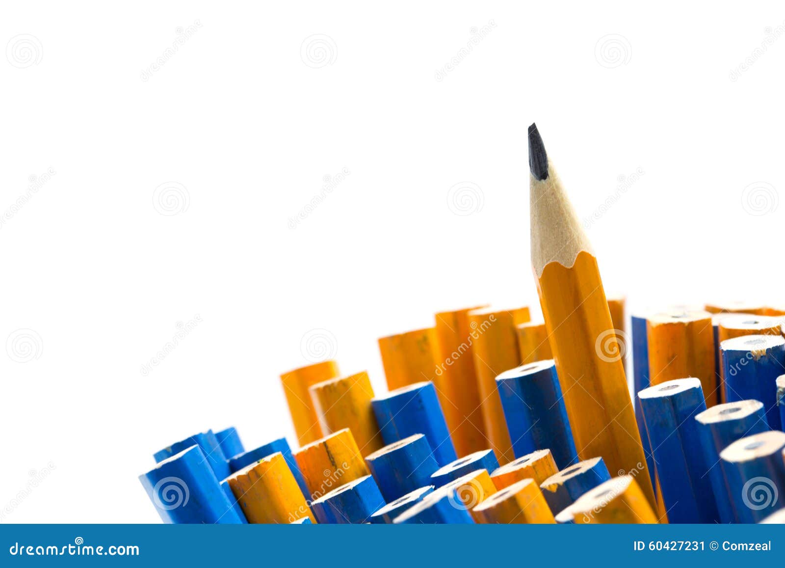 One Pencil among Many Pencil Stock Image - Image of sharp, pastel: 60427231