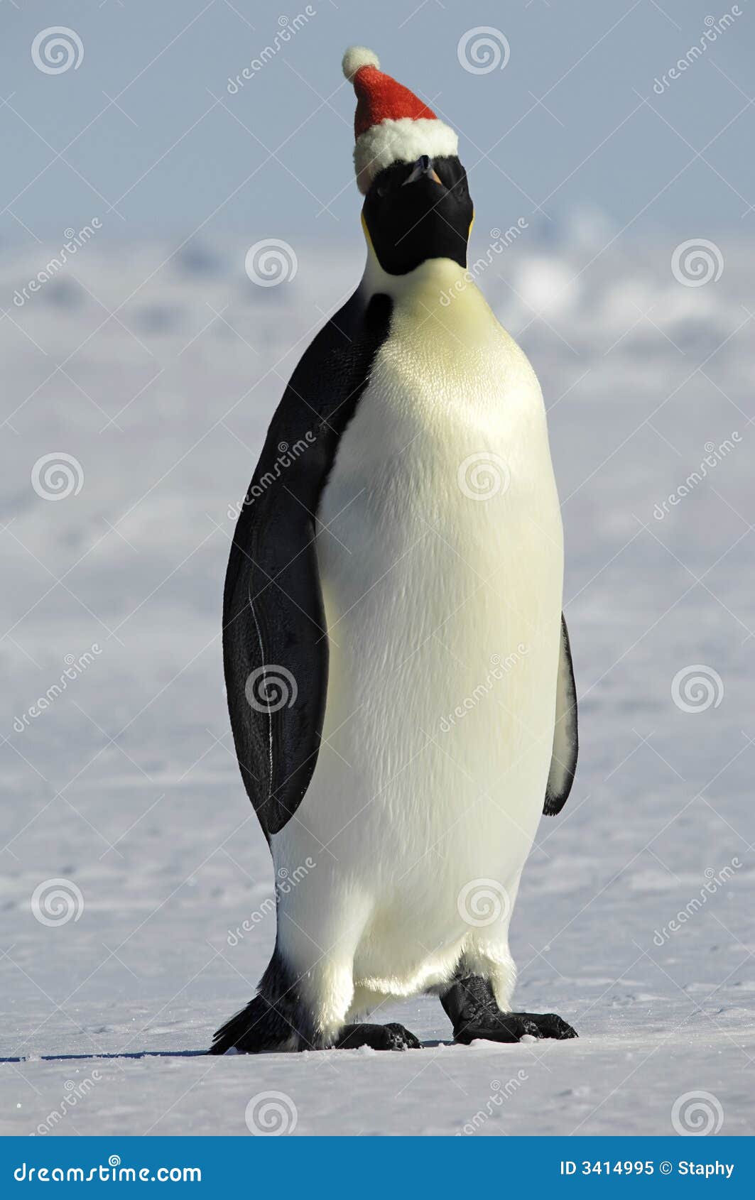 One Penguin Christmas Party Stock Image - Image of polar, christmas ...